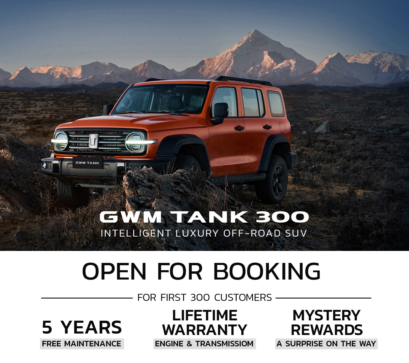 GWM Tank 300 - CS Group